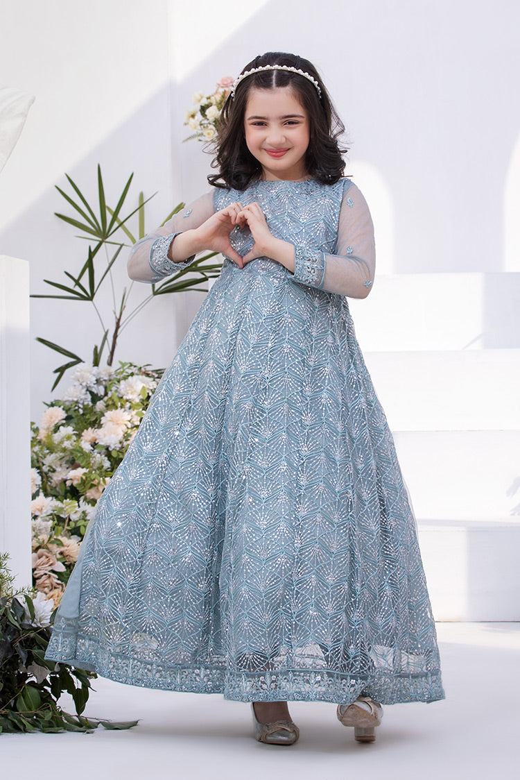 Embroidered Net Maxi Dress – Ellena