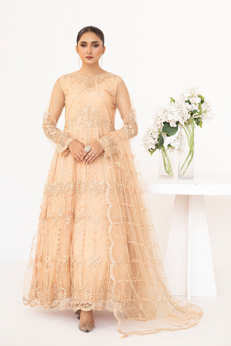 Embroidered Net Maxi Dress – Ellena