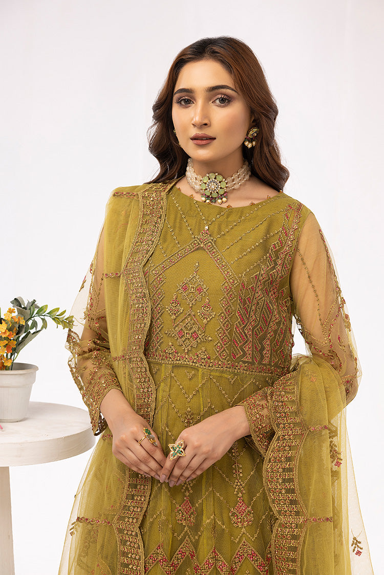 Embroidered Net Maxi Dress – Ellena