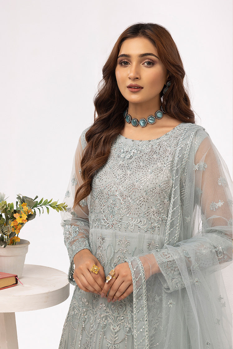 Embroidered Net Maxi Dress – Ellena